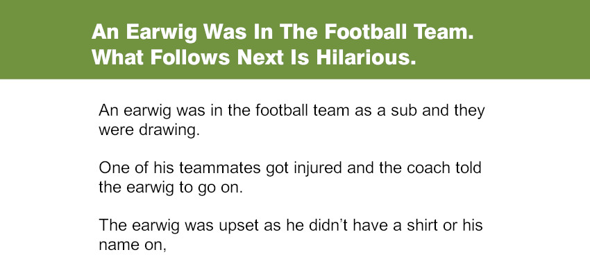 An Earwig Was In The Football Team.